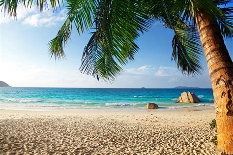 Banco De ImÁgenes 30 Fotos De Playas Tropicales Con Agua Cristalina
