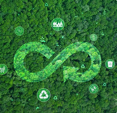 Circularity Assessment Evolveable Consulting