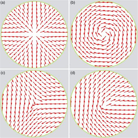 Polarization Distribution Of Different Light Beams A Radially And B
