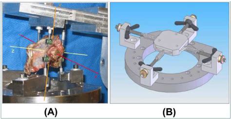 Figure 1 From In Vitro Spine Testing Using A Robot Based Testing System