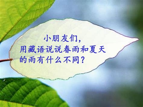 小学一年级语文春雨 一年级阅读短文春雨 小学一年级语文课文 大山谷图库