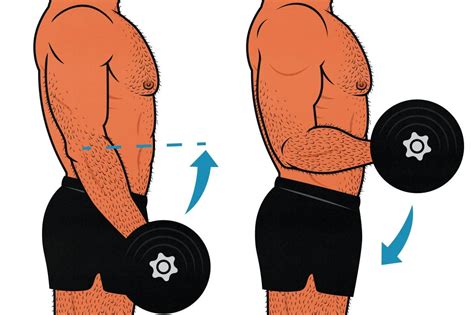 Bicep Curl How Many Reps At Joshua Tyler Blog