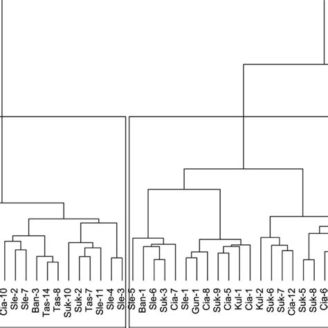 Dendrogram Output From The Hierarchical Cluster Analysis Of The