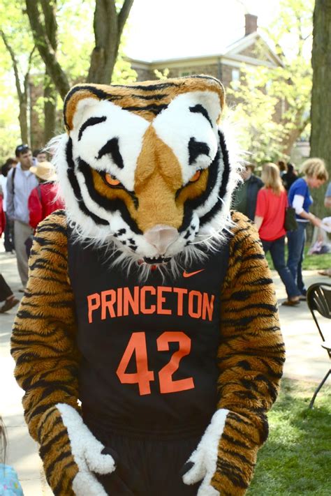 Princeton Mascot Tiger