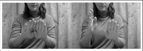 Figure 1 From Comprehension Benefits Of Visual Gestural Iconicity And Spatial Referencing