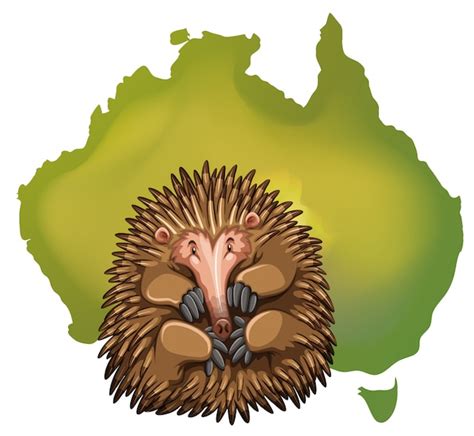 Echidna And Australia Map Free Vector
