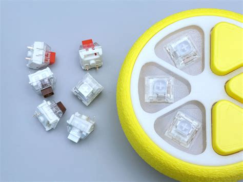 Lemon Keypad By Adafruit Download Free Stl Model