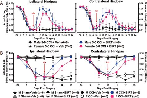 Lfa 1 Antagonist Birt377 Similarly Reverses Peripheral Neuropathic