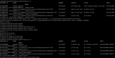Docker使用shell进行healthchecktomcat Healthchecksh Csdn博客