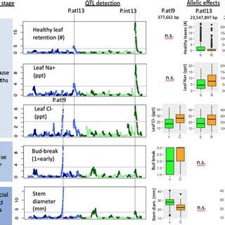 QTL Detection And Allelic Effects For Five Traits Measured Over Download Scientific Diagram