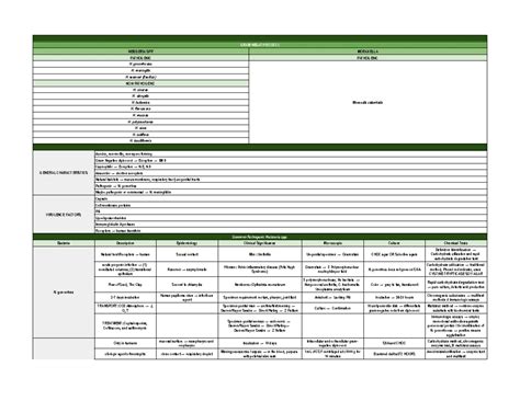 Bacteriology Flow Chart Identification Of Bacteria Gram Stain Gram Positive Cocci Bacilli