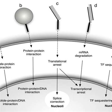 7 An Overview On A Selection Of Applications Of Cpps Cpps Have Either Download Scientific