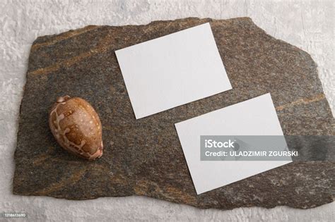 흰색 종이 명함 회색 콘크리트 배경에 천연 돌과 조개로 모형 빈 평평한 평지 상단 보기 정물 복사 공간 갈색에 대한 스톡 사진 및 기타 이미지 Istock