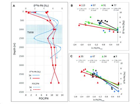 Vertical Profiles Of δ 15 N Pn In ‰ Solid Lines And Pocpn Ratio