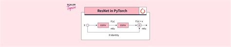 pytorch resnet scaler topics