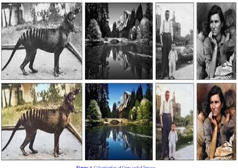 Figure 3 From An Overview Of Advances In Image Colorization Using Computer Vision And Deep