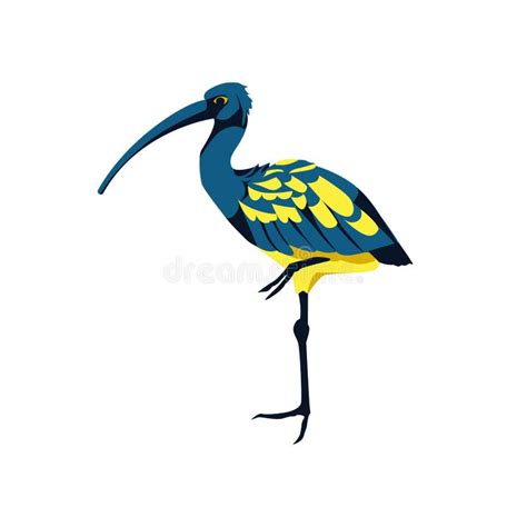Polynesian Bird Stock Illustrations 777 Polynesian Bird Stock