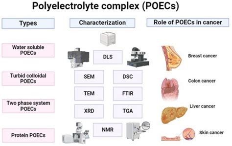 Devesh U Kapoor Phd On Linkedin Harnessing Polyelectrolyte Complexes For Precision Cancer