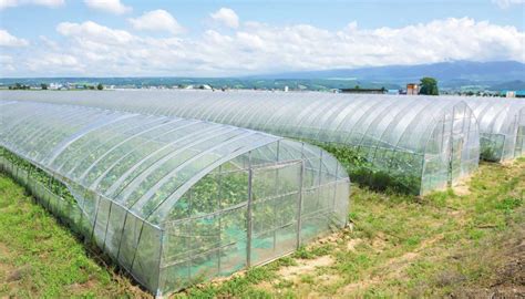 Usos Del Plástico En La Agricultura Costumbres Rurales