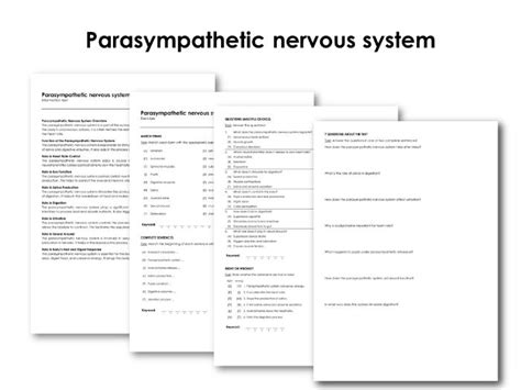 Parasympathetic Nervous System Teaching Resources