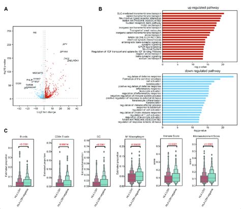 Pre Existing Immune Programs In Hla Loh Negative Patients A Volcano Download Scientific