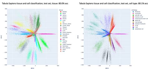 Fast Queries Of Scrnaseq Datasets With Amazon Athena Aws For Industries