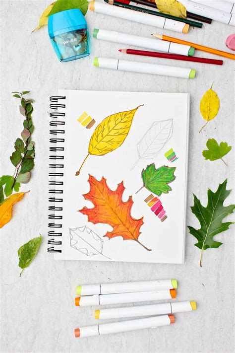 Fall Leaves Drawing Easy