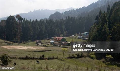 Soumya Banerjee Photos And Premium High Res Pictures Getty Images