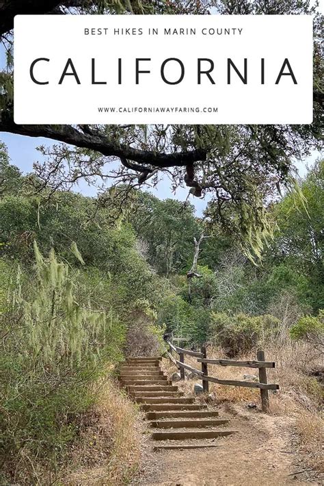 Marin County Hikes Best Hikes In Marin County Routes And Maps