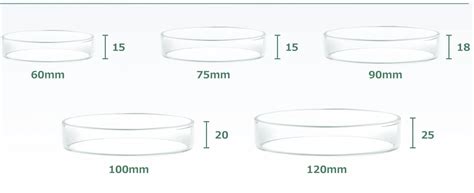 Autoclavable Borosilicate Glass Petri Dishes 90mm 100mm 120mm