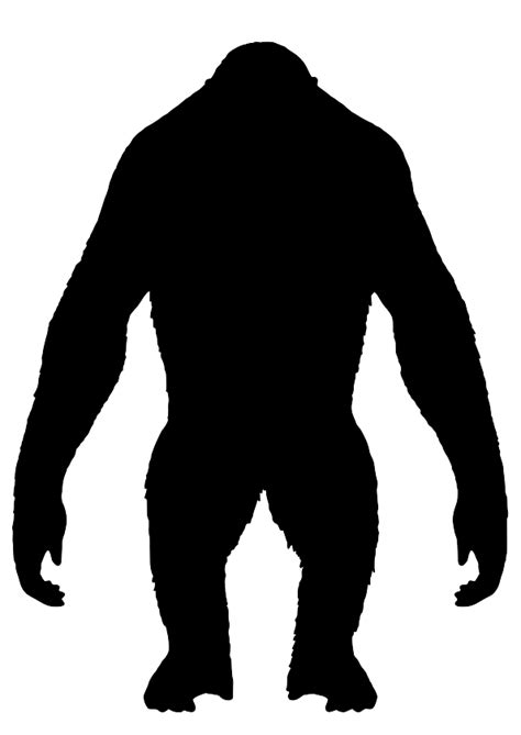 Gigantopithecus Blacki By Mette Aumala Cc By 4 0 Phylopic