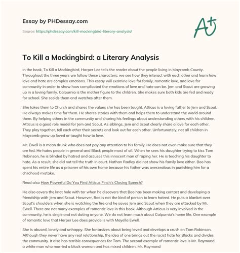 To Kill A Mockingbird A Literary Analysis Essay Example