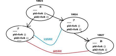 Linux进程知识要点总结（一）getpid Getuid Csdn博客
