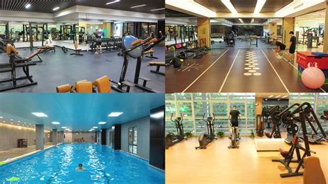 室内健身房游泳跑步视频素材下载编号9893571光厂vj师网