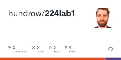 Github Hundrow224lab1