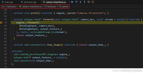 八 实战：cuda Bevfusion部署分析 Forward Csdn博客