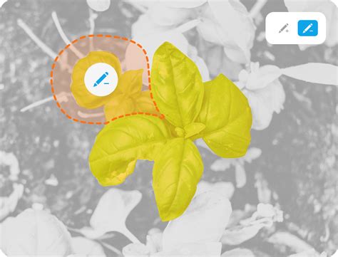 Video Annotation And Labeling Tool Labelbox
