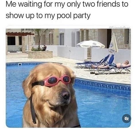 25 Swimming Pool Memes To Keep Your Laughs Above Water Funny