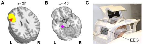 Figure 2 From Validation Of Real Time Fmri Neurofeedback Procedure For Cognitive Training Using