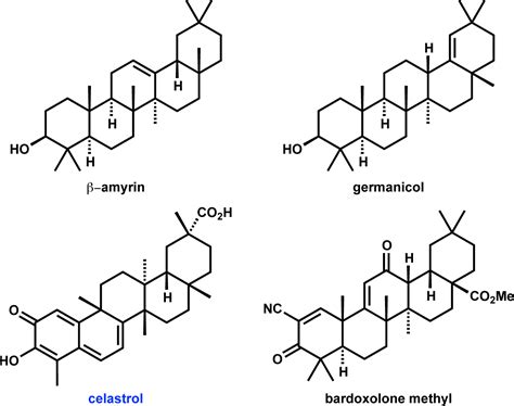 Modern Steroid Science Dionicio Siegels ‘nonbiomimetic Polyene