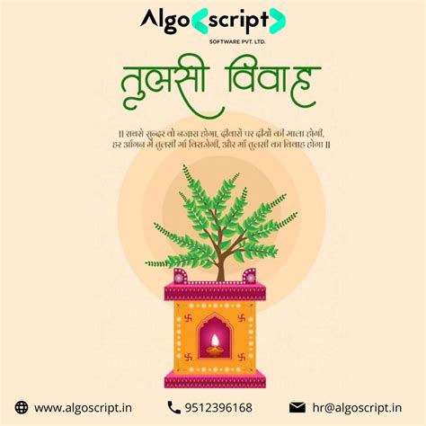 algoscript software pvt ltd on linkedin tulsivivaah joy peace lighting tulsivivah kanha