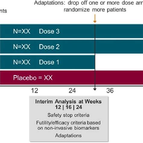 Phase 3 4 Adaptive Design A Single Seamless Adaptive Trial Design Download Scientific Diagram