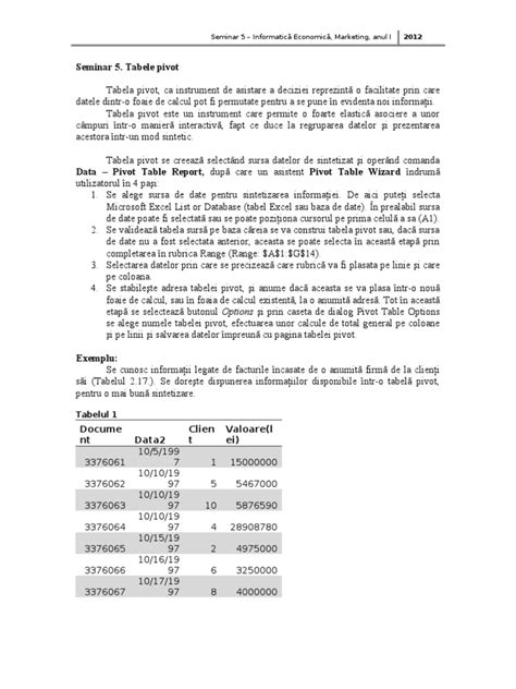 Seminar 5 Microsoft Excel Tabele Pivot Pdf