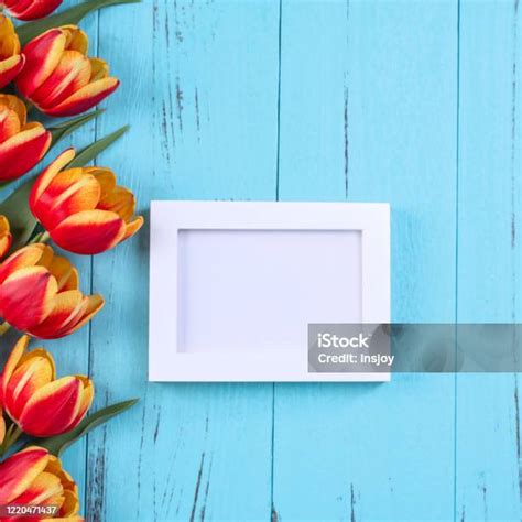 어머니의 날 배경 튤립 꽃 무리 푸른 나무 테이블에 고립 된 아름다운 빨간색 노란색 꽃다발 0명에 대한 스톡 사진 및 기타 이미지 Istock