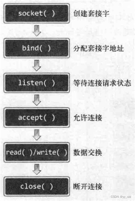 Linux 网络编程 基础 Csdn博客