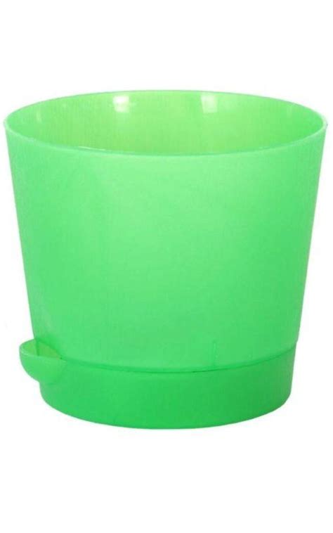 Золотая сотка алтая