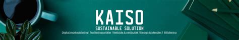 Kaiso Sustainable Solutions Linkedin