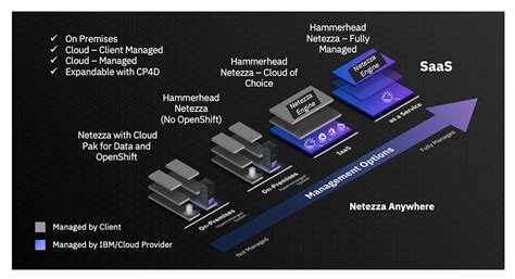 Blog Netezza Architecture Enhanced With Public Cloud Native