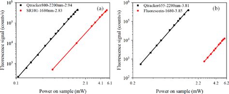Characterization Of Multiphoton Excitation Properties Of Quantum Dots