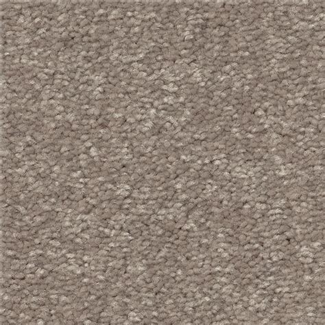 Stainmaster Blue Diamonds Iii 15 Ft Tree Bark Brown 731 Oz Sq Yard